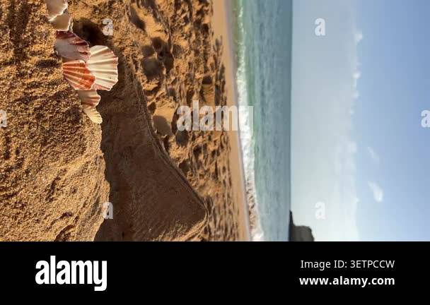 Sandcastle with seashells on beach, rotated seaside summer view Stock ...