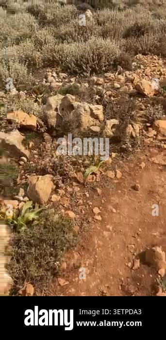 Back view of a man carrying a small child on his shoulders while hiking ...