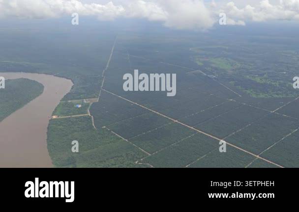 aerial view of the river in the forest Stock Video Footage - Alamy