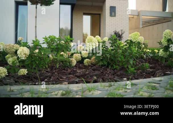Smooth sliding shot reveals a beautifully landscaped garden with ...