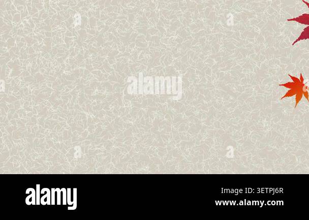 Japanese Maple Leaves on Washi Paper 4K Stock Video Footage - Alamy