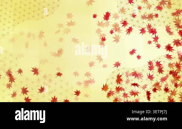 Floating Red Maple Leaves on Gold 4K Stock Video Footage - Alamy