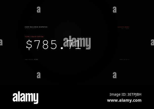 A minimalist digital financial interface showing a total liquid capital ...