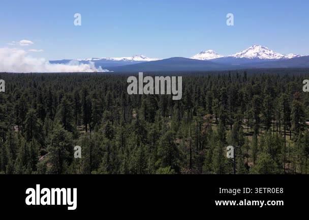 Smoke from a controlled burn in the Deschutes National Forest; the ...