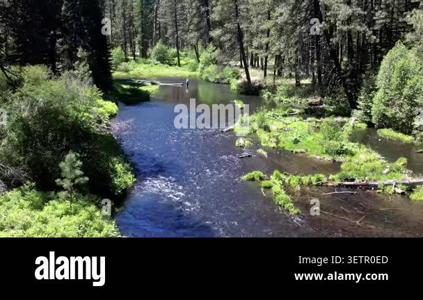 Aerial Drone View of Metolius River Through Evergreen Forest Stock ...