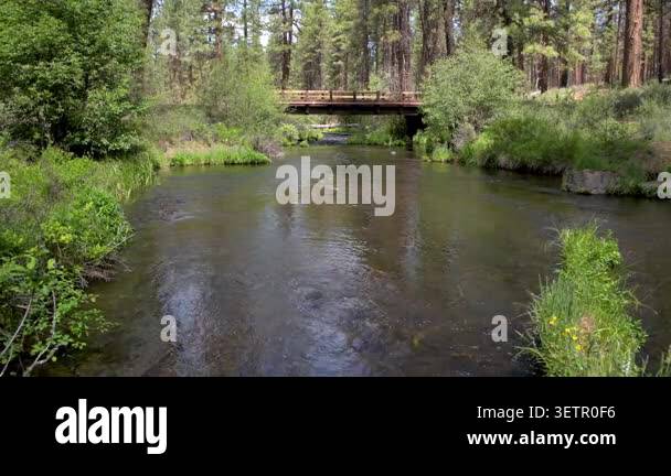 Metolius River Flowing Beneath Forest Bridge in Central Oregon Stock ...