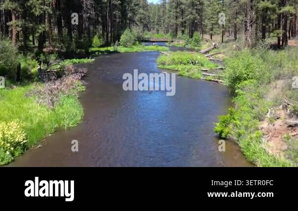 Upper Metolius River Near Camp Sherman, Oregon Drone Flyover of ...