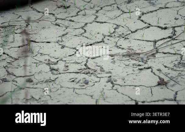 Arid land suffering from severe water shortage and extreme drought ...