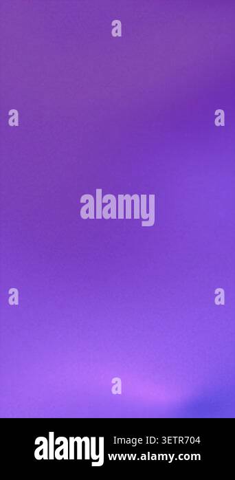Soft purple gradient flows gently across the frame. Smooth texture ...