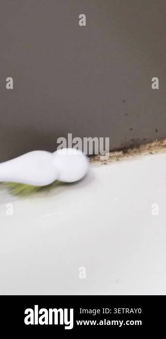 Cleaning moldy tile with a toothbrush at bathroom Stock Video Footage ...