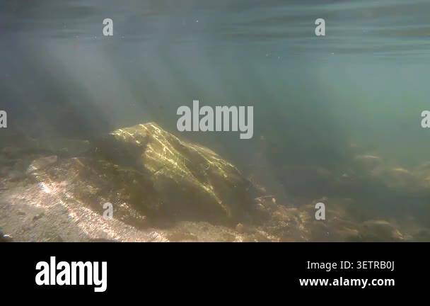 rocks underwater in the river bed with clear fresh water Stock Video ...
