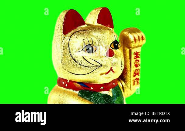 Golden Maneki Neko beckoning cat on green screen background Stock Video ...