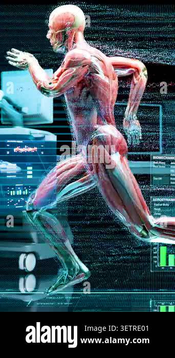 Futuristic Muscle Anatomy in Motion: Male Runner Sprinting with Digital ...