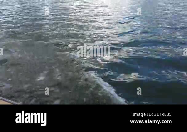Boat trip on the Szczecin Lagoon near Alt Warp in summer Stock Video ...
