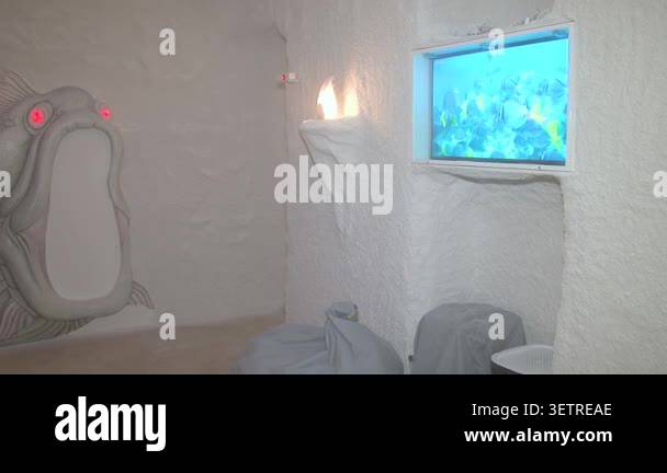 Salt room (halo chamber) for the treatment of chronic lung diseases in ...