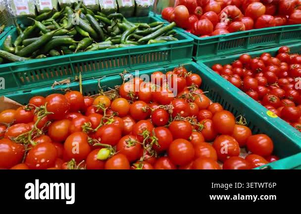 Fresh red tomatoes and green cucumbers for sale in green plastic crates ...