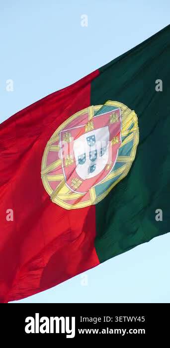 The official coat of arms and armillary sphere of a large Portuguese ...