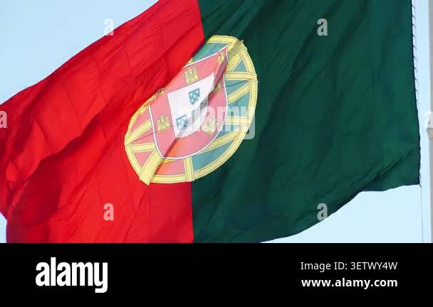 The official coat of arms and armillary sphere of a large Portuguese ...