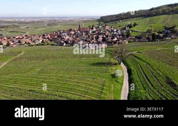 Aerial drone view over a half-timbered Alsace wine village with red ...