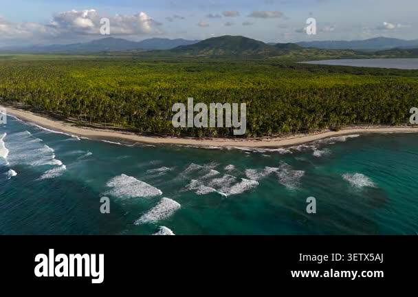 Aerial drone footage of a tropical coastline with palm trees, turquoise ...