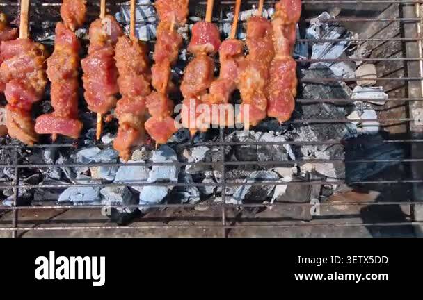Video of Grilled skewers sizzle on the grill. Wooden sticks hold ...