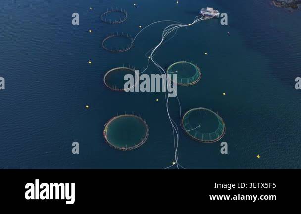 Aerial drone footage of aquaculture fish farming pens in Lofoten ...