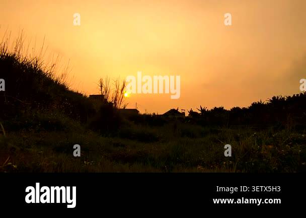 Golden sunset over a wild grass field in rural countryside during ...