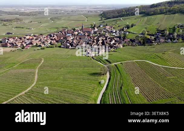 Aerial drone view over a picturesque half-timbered Alsace wine village ...