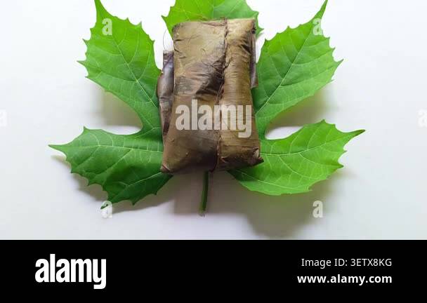 Studio shot of a traditional Guatemalan chaya tamal wrapped in plantain ...