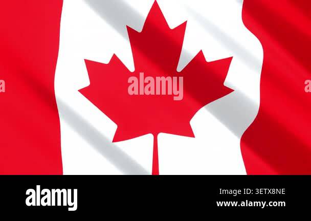 Waving flag of Canada with red maple leaf and stripes, close-up texture ...