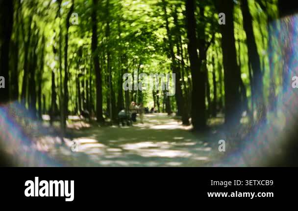 Sunny park alley with walking people and bright lens flare. Cinematic ...