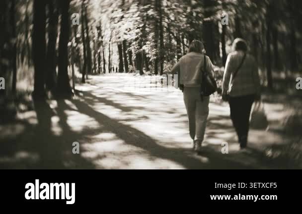Two senior women walk away together down a paved path in a sunlit ...