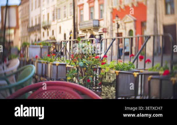 A cozy outdoor cafe terrace with red flowers in flowerpots stands in a ...