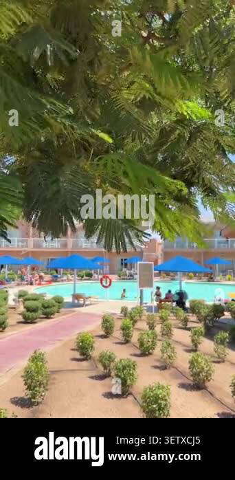 Sunlit hotel swimming pool with blue umbrellas and tropical garden on ...