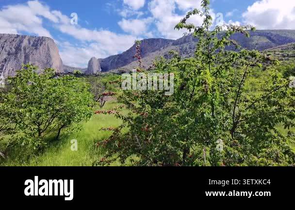 Harmankoy, famous for its canyon and cherry trees, is located in the ...