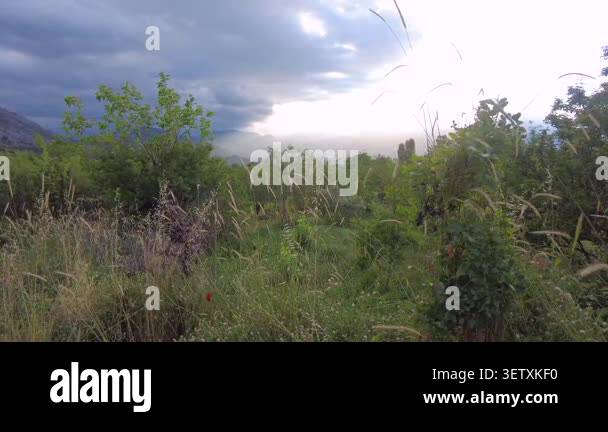 Harmankoy, famous for its canyon and cherry trees, is located in the ...