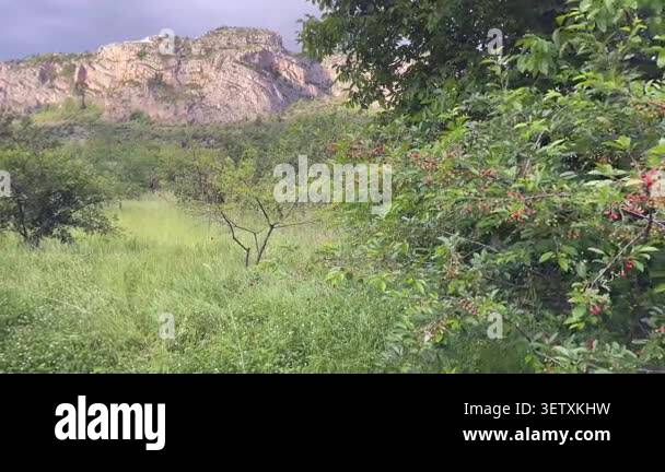 Harmankoy, famous for its canyon and cherry trees, is located in the ...