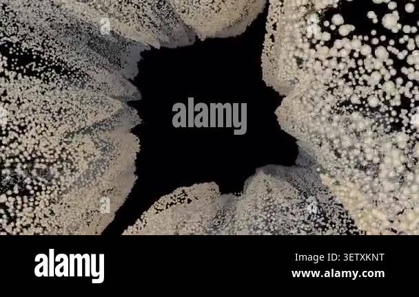 Abstract 4K Motion Background with Dense Beige Particle Cloud and ...