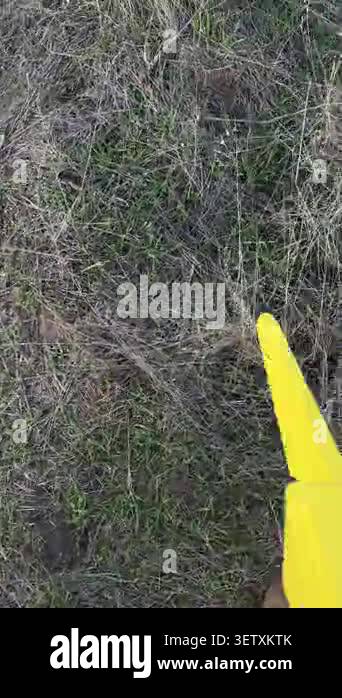 POV of a deminer sweeping a yellow metal detector over dry meadow grass ...