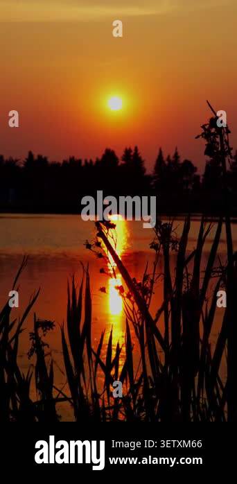 Vertical video capturing a colorful sunset over a large lake in a ...