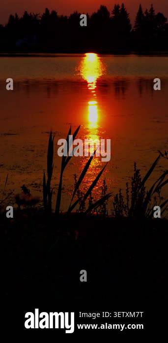 Vertical video capturing a colorful sunset over a large lake in a ...