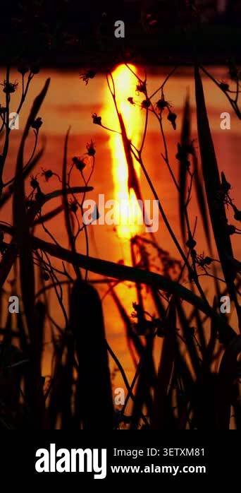 Vertical video capturing a colorful sunset over a large lake in a ...