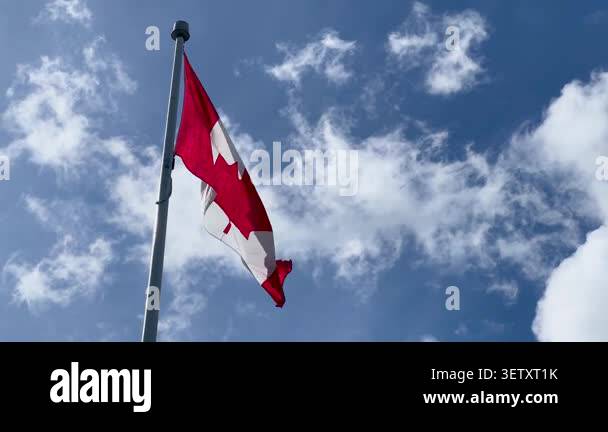 The national flag of Canada, with its bright red maple leaf on a white ...