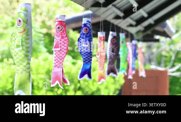 Colorful Japanese carp streamers swaying in the breeze outdoors ...
