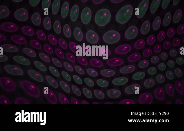 A microscopic view of cells with glowing red spots on a dark background ...