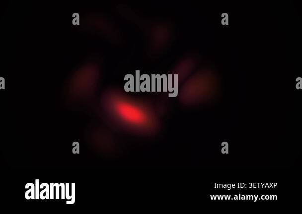 Blurry microscopic view of red cells on a black background Stock Video ...