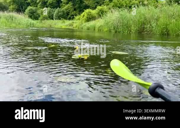 Slow motion river current flowing past water lily and green riverside ...