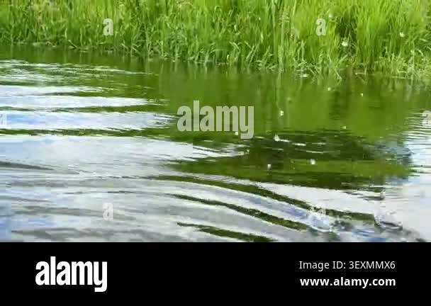Slow motion close up of kayak paddle lifting from river water with ...