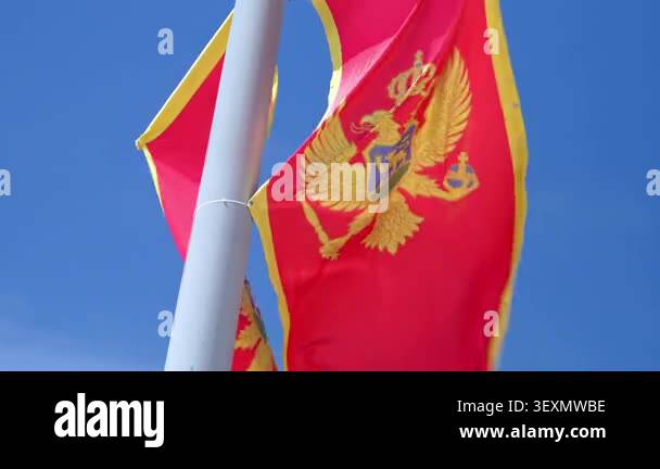 The red Montenegro national flag with golden double headed eagle crest ...