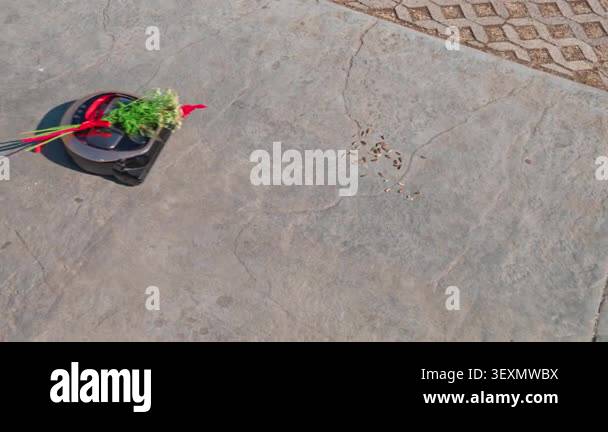 Robot vacuum cleaner carrying a flower bouquet with red ribbon drives ...